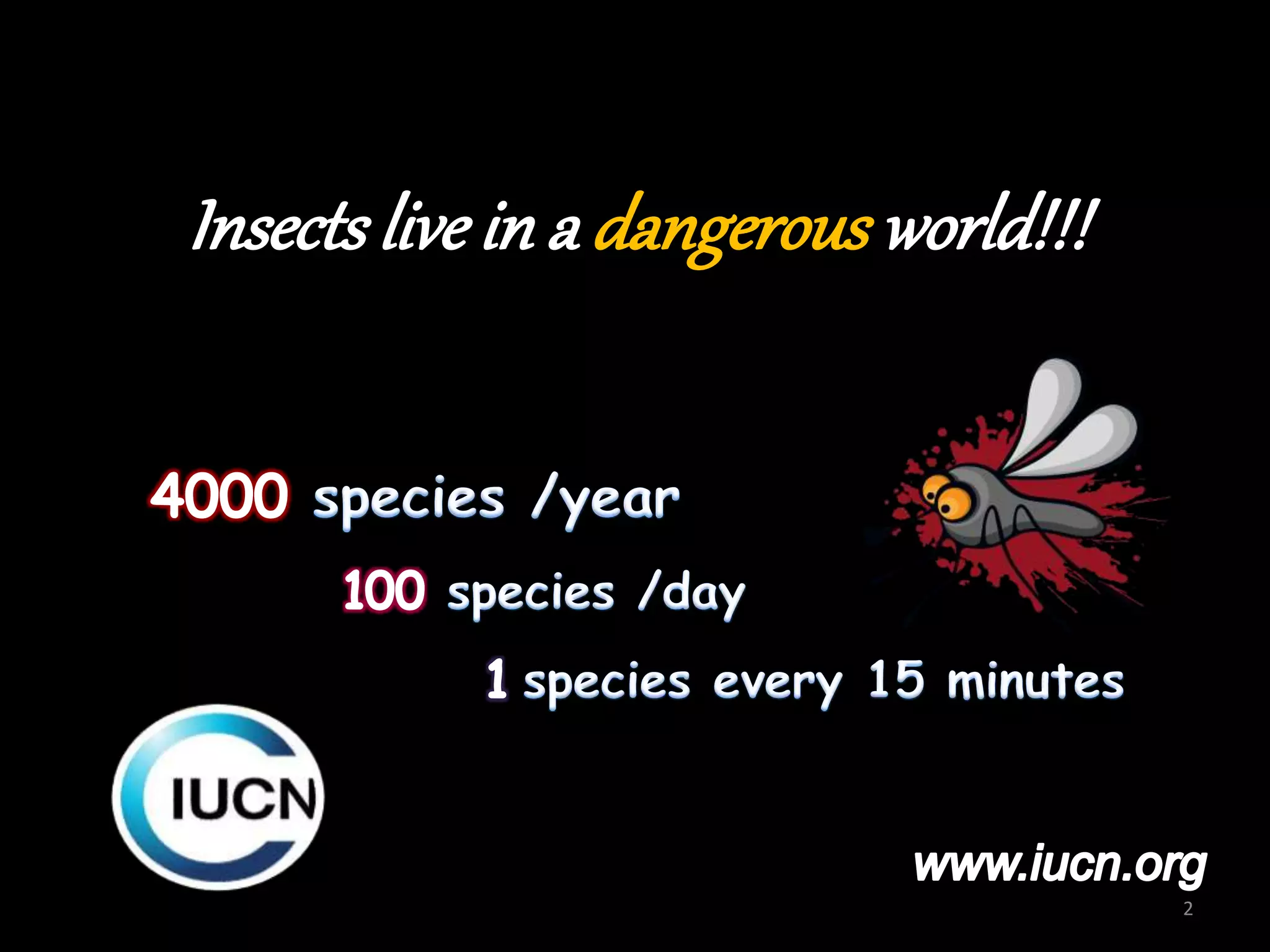 INSECT DEFENSE MECHANISM | PPTX