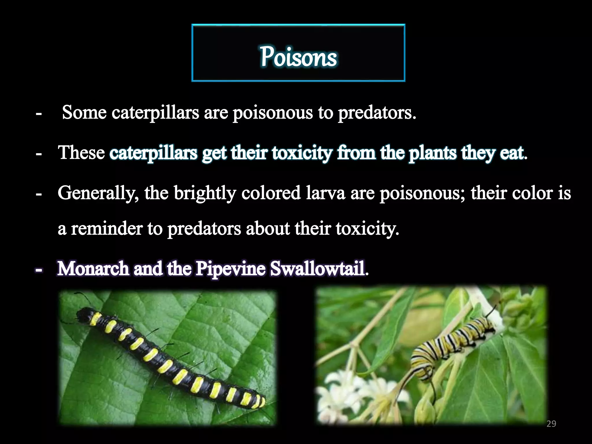 INSECT DEFENSE MECHANISM | PPTX