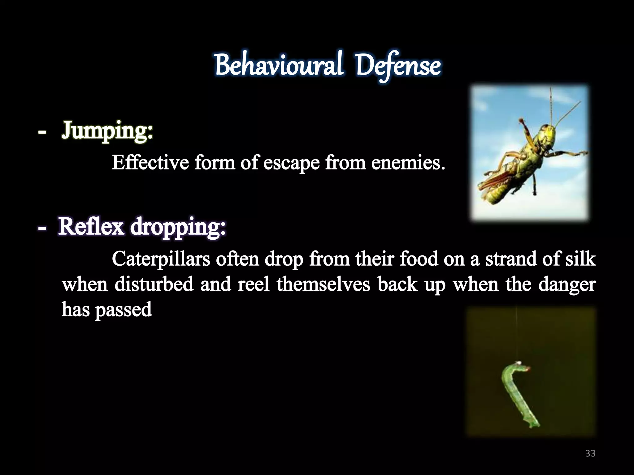 INSECT DEFENSE MECHANISM | PPTX