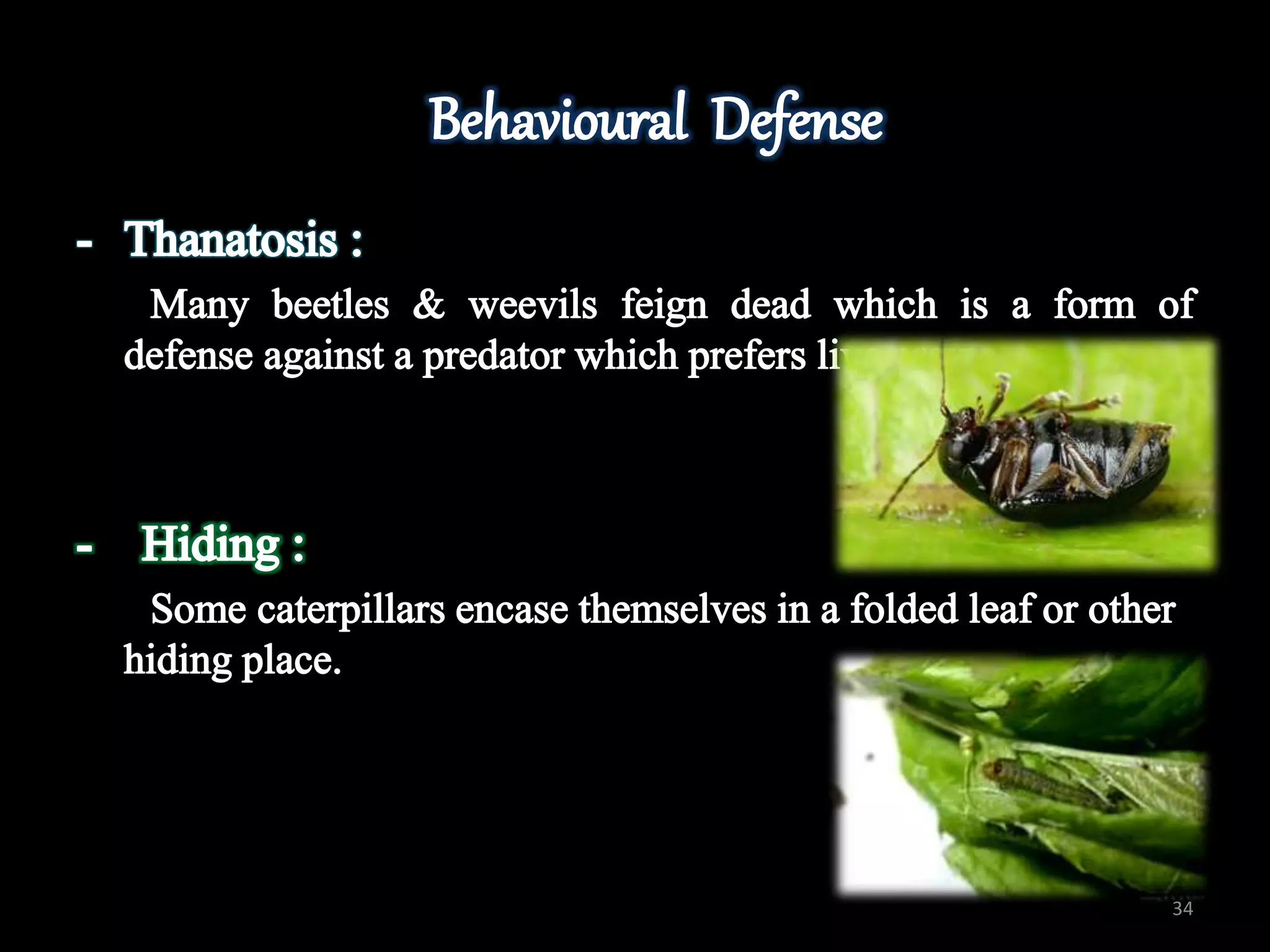 INSECT DEFENSE MECHANISM | PPTX
