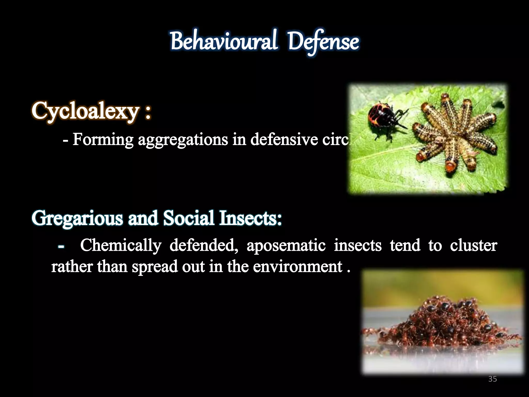 INSECT DEFENSE MECHANISM | PPTX