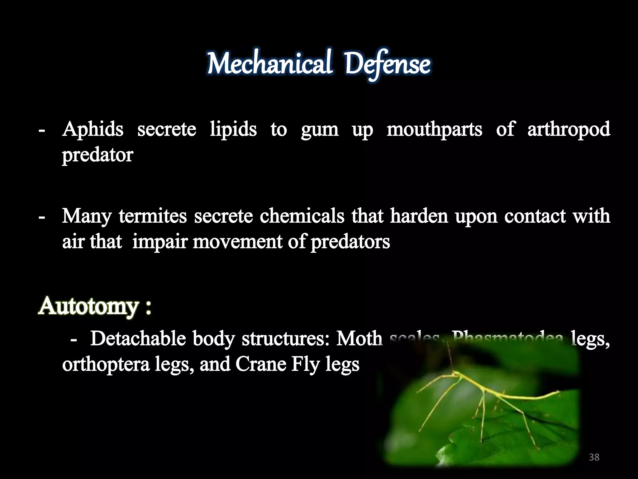 INSECT DEFENSE MECHANISM | PPTX