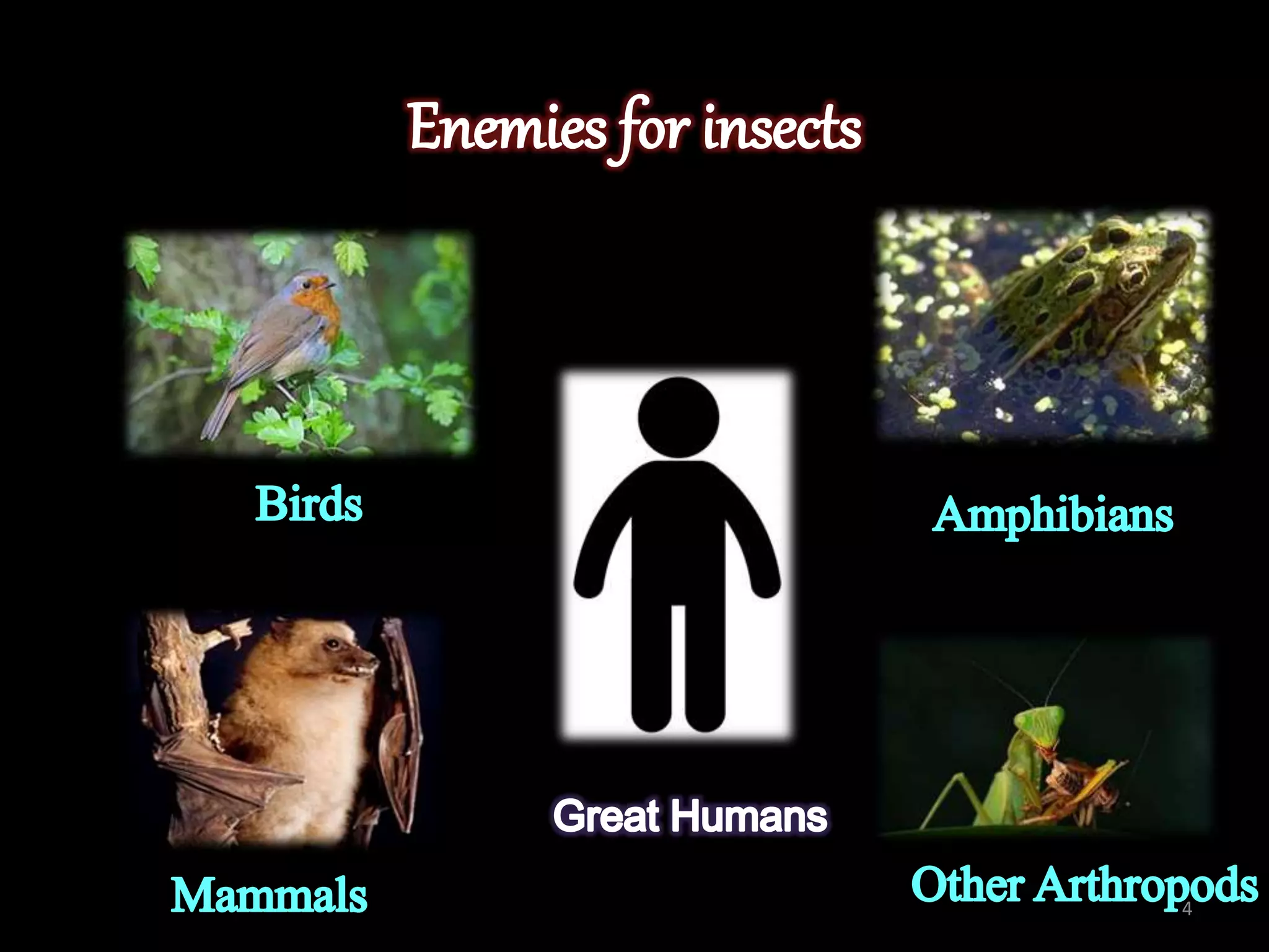 INSECT DEFENSE MECHANISM | PPTX