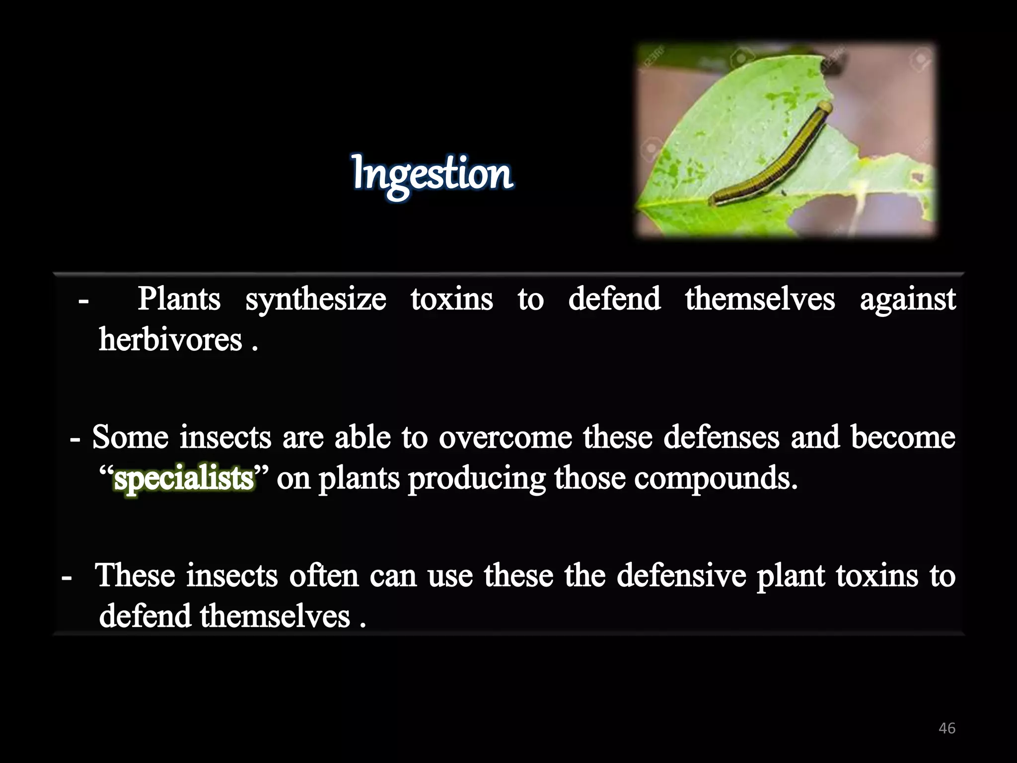 INSECT DEFENSE MECHANISM | PPTX