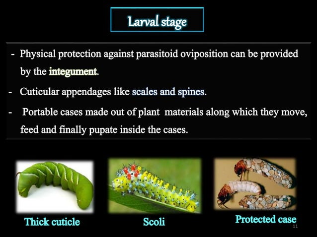 INSECT DEFENSE MECHANISM | PPTX | Biological Sciences | Science