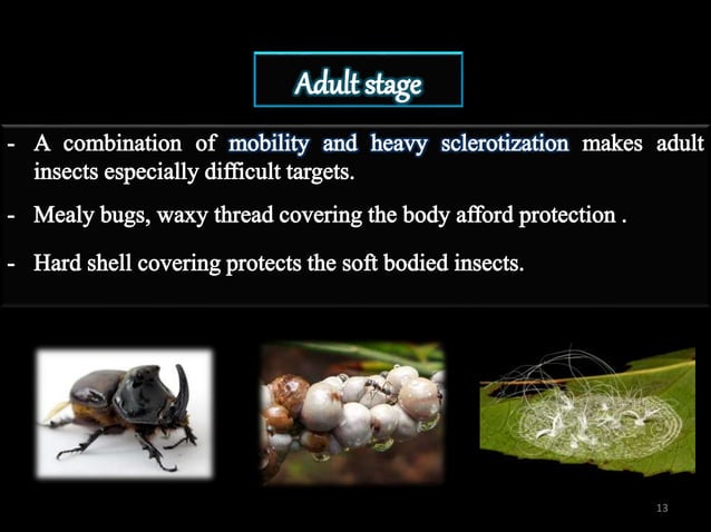 INSECT DEFENSE MECHANISM | PPTX | Biological Sciences | Science