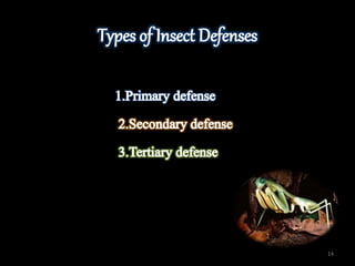 INSECT DEFENSE MECHANISM | PPTX