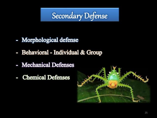 INSECT DEFENSE MECHANISM | PPTX | Biological Sciences | Science