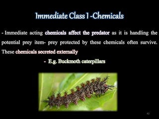 INSECT DEFENSE MECHANISM | PPTX