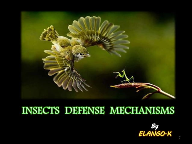 INSECT DEFENSE MECHANISM | PPTX | Biological Sciences | Science