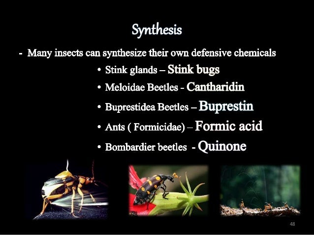 INSECT DEFENSE MECHANISM