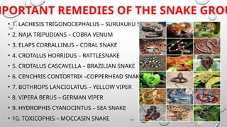 Elaps corralinus.pptx homeopathy ophidia | PPTX