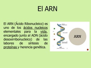 El ARN | PPTX