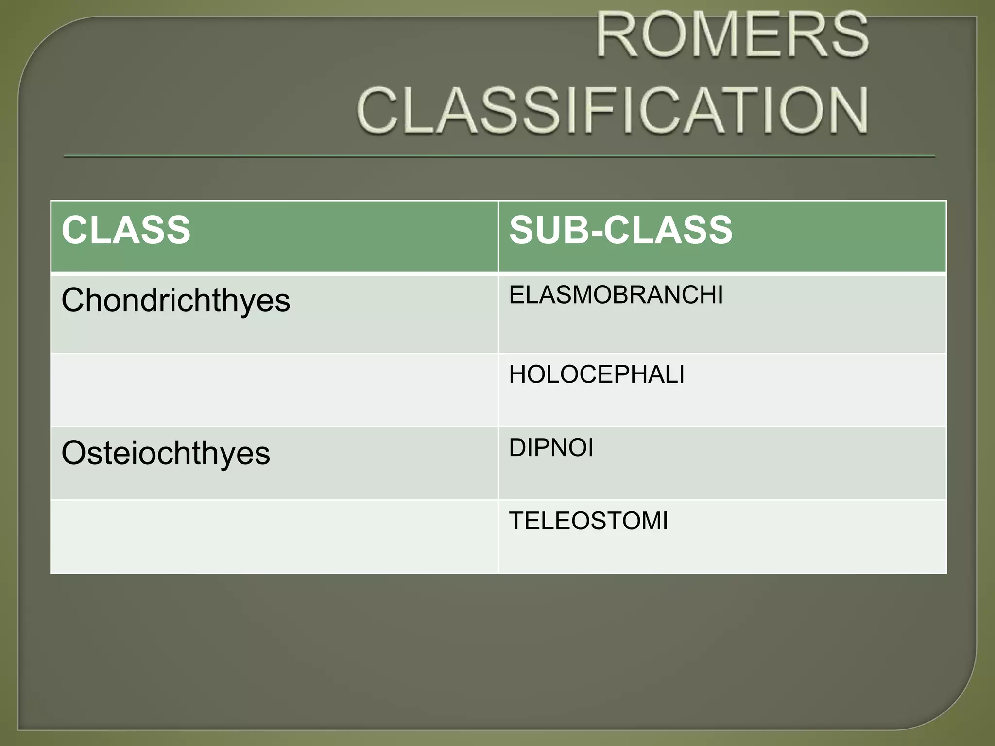 Elasmobranchii | PPTX