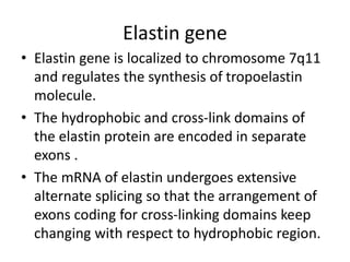 Elastic fibres | PPTX