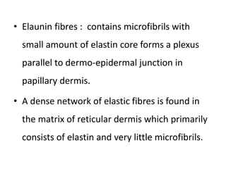 Elastic fibres | PPTX