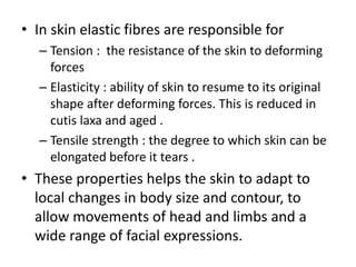 Elastic fibres | PPTX
