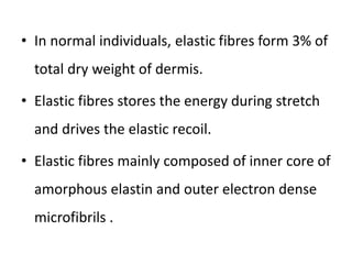 Elastic fibres | PPTX