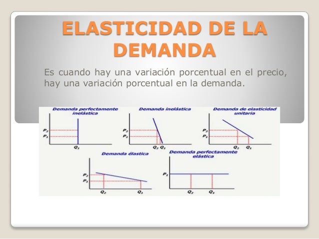 Tipos De Elasticidad Dela Demanda Ejemplos Coleccion De Ejemplo Images Tipos De Elasticidad Dela Demanda Ejemplos Coleccion De Ejemplo Images