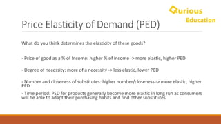 Elasticities Notes - A-level & IB Economics | PDF