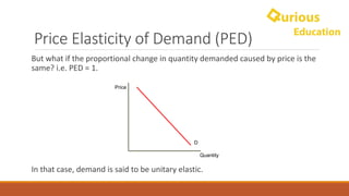 Elasticities Notes - A-level & IB Economics | PDF