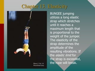 Elasticity | PPT
