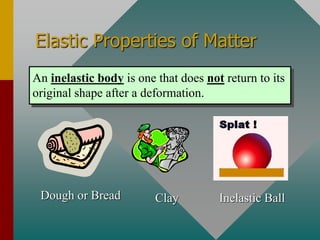 Elasticity | PPT