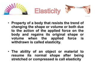 Elasticity | PPTX