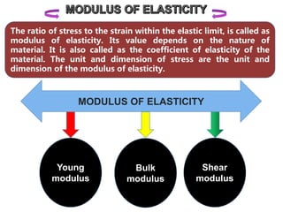 Elasticity | PPTX
