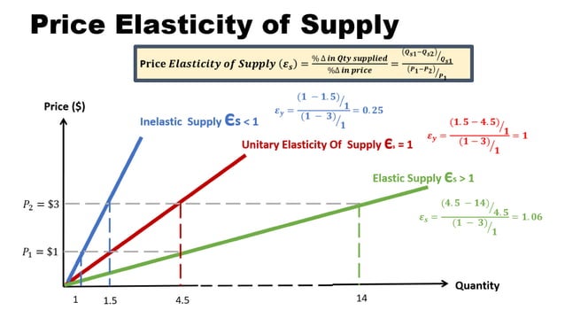 ELASTICITY PRESENTATION - Different types of elasticity | PPTX
