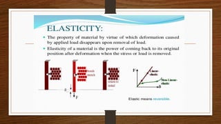Elasticity | PPT