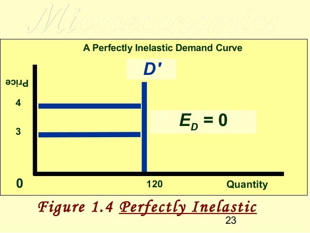 Elasticityppt 090313115737-phpapp02