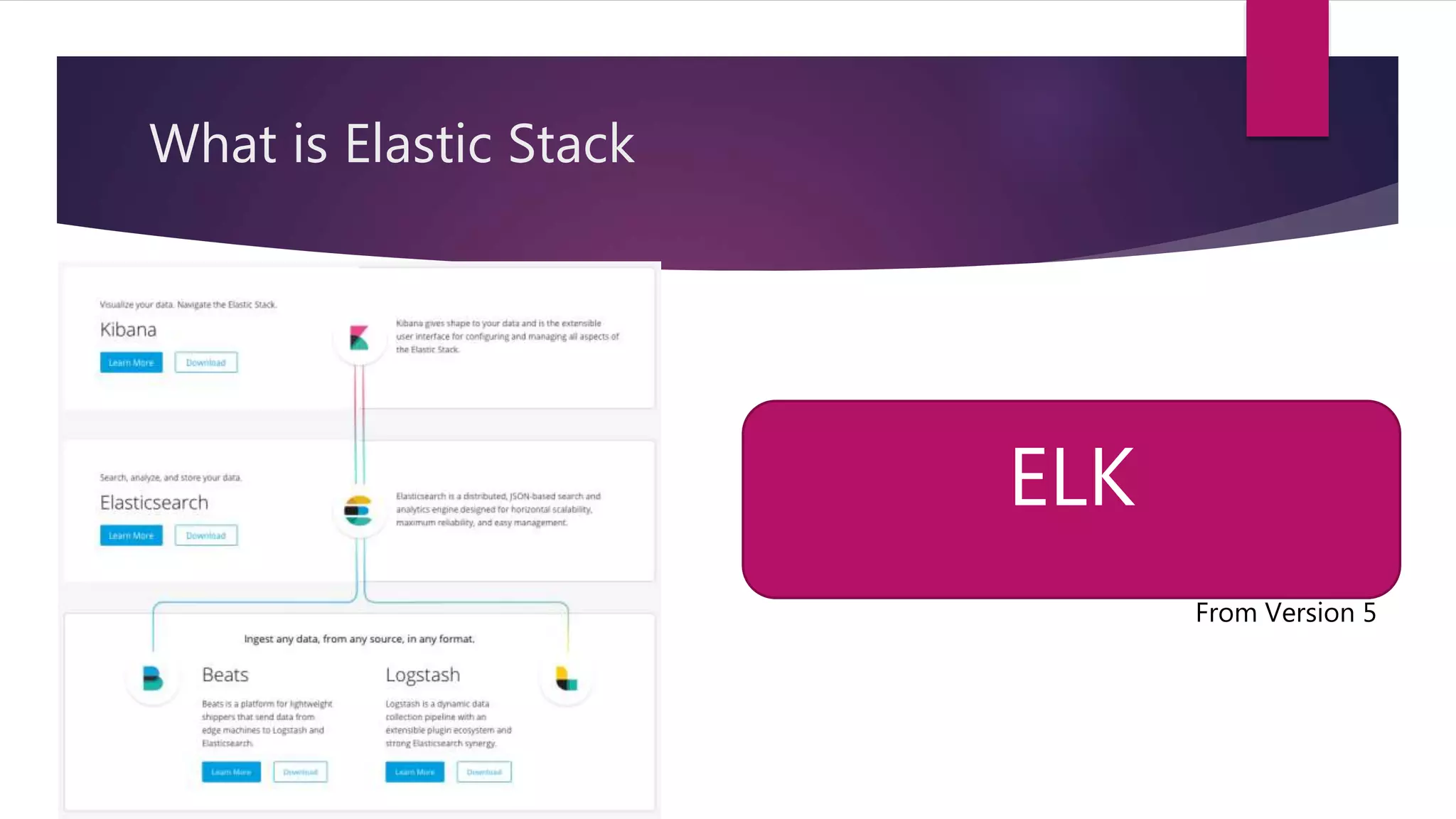Elastic stack | PPTX