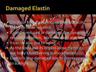 ELASTIN - POWERPOINT | PPTX