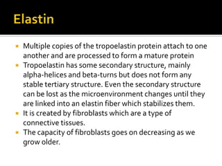 ELASTIN - POWERPOINT | PPTX