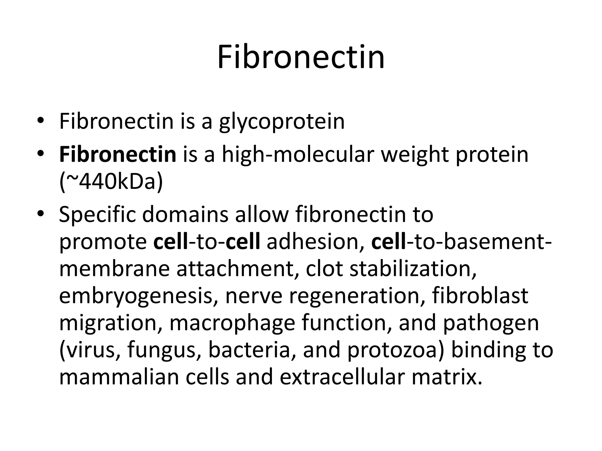 Elastin,fibronectin and basal lamina | PPTX