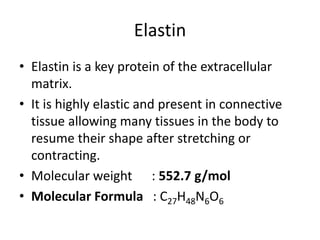 Elastin,fibronectin and basal lamina | PPTX