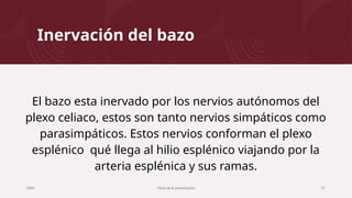 EL BAZO COMO INERVACION Y SUS DIFERENCIAS | PPT