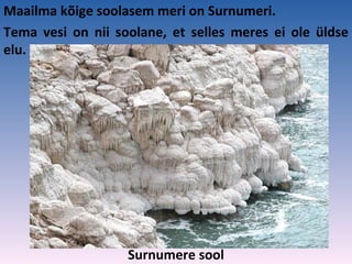 Elbe esitlus miks merevesi on soolane | PPT