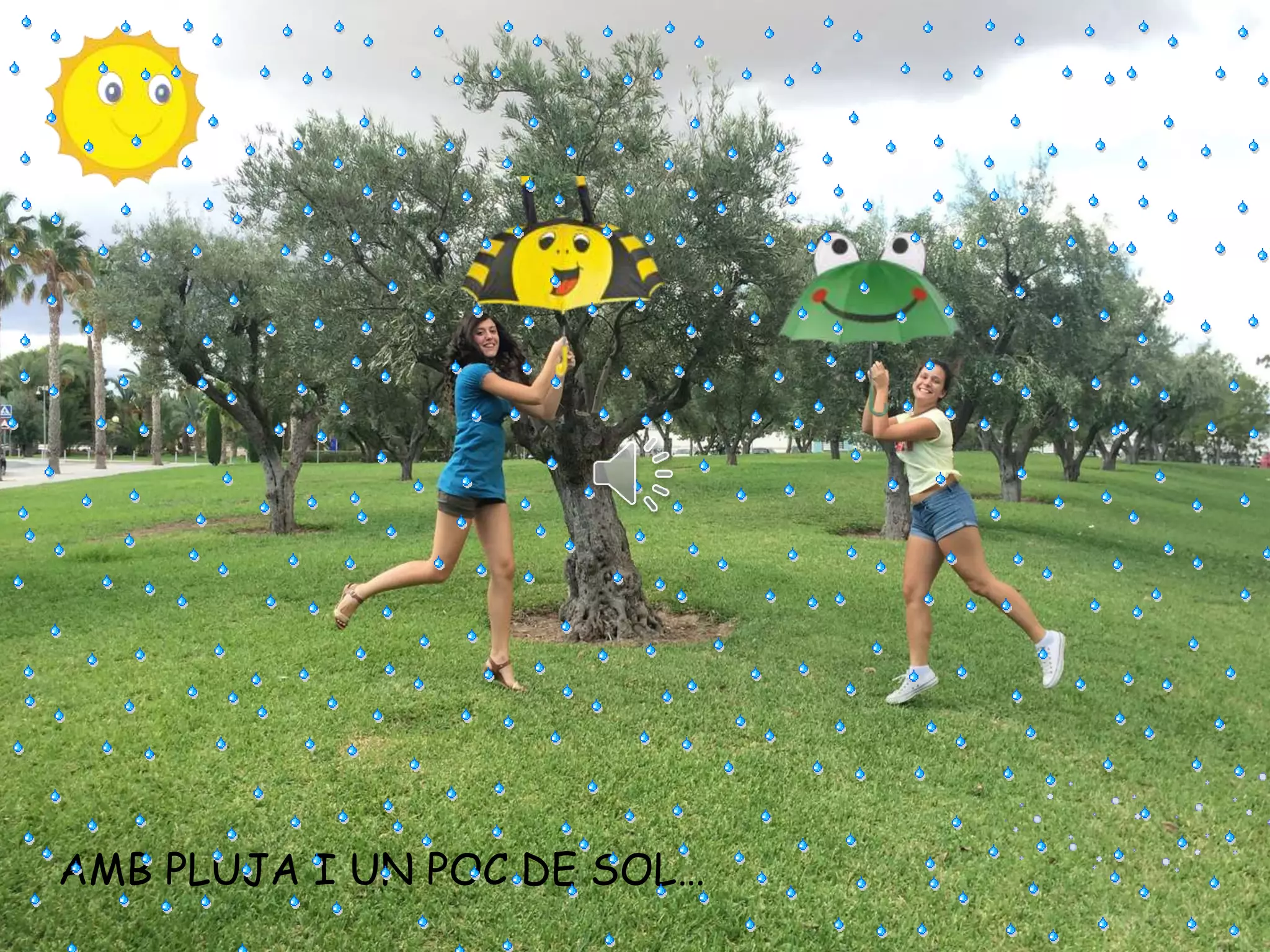 El bolet | PPTX