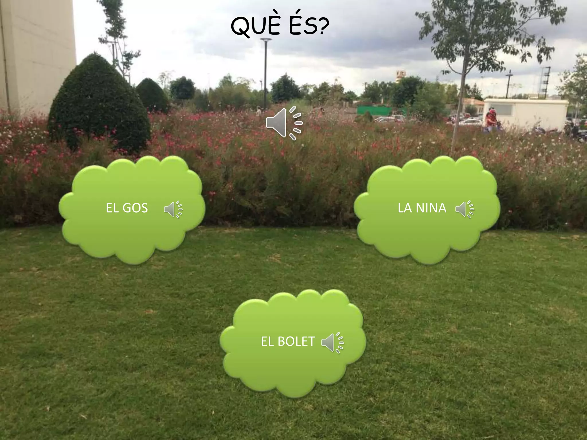 El bolet | PPTX