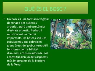 El bosc | PDF