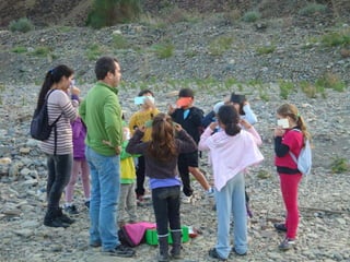 El bosc de colera | PPTX