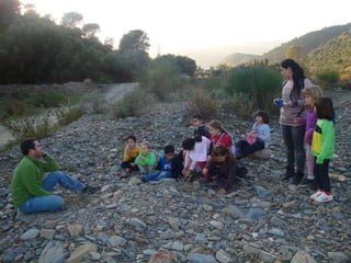 El bosc de colera | PPTX