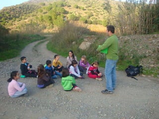 El bosc de colera | PPTX