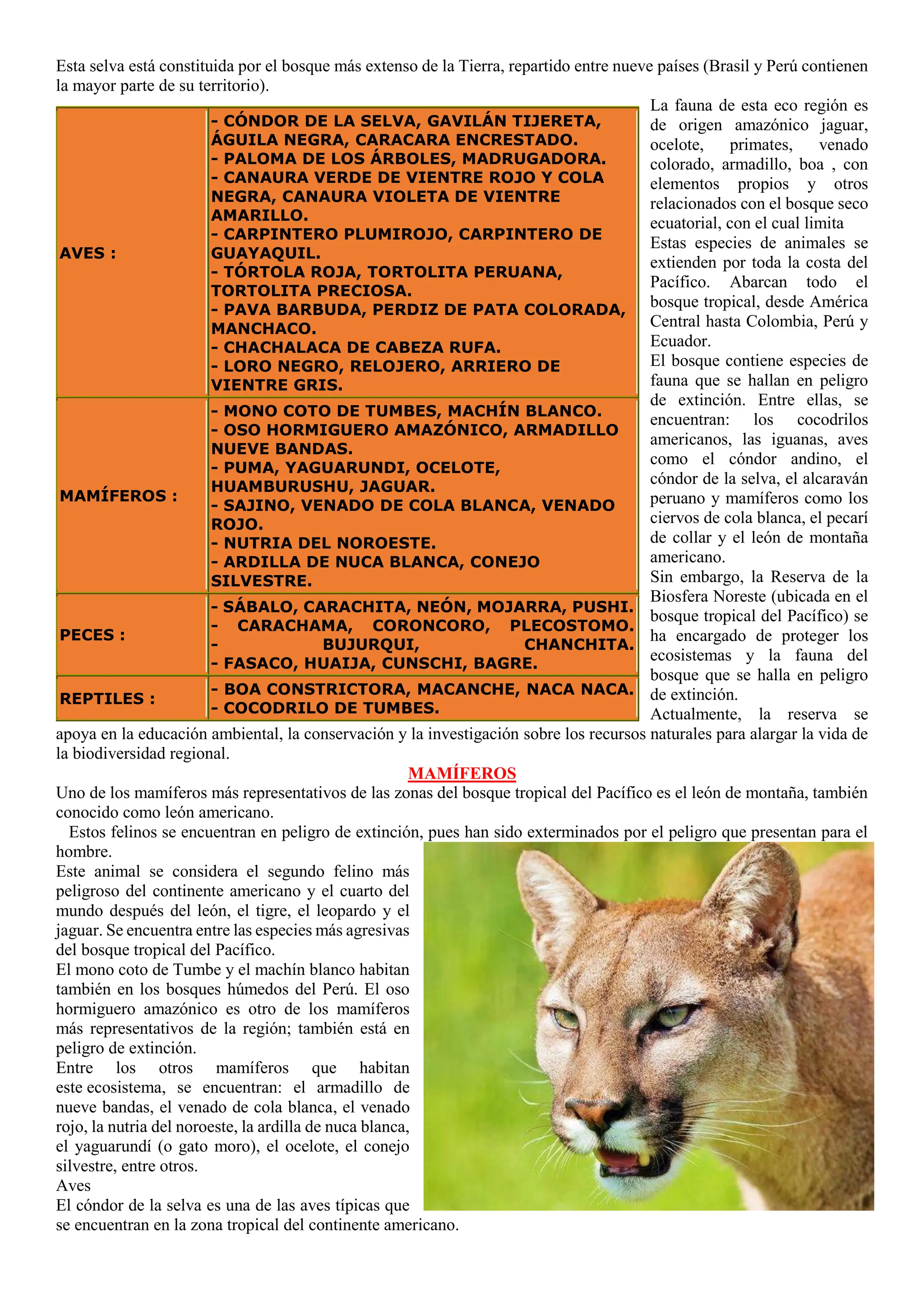 EL BOSQUE TROPICAL DEL PACÍFICO 2DO NOLASCO..docx