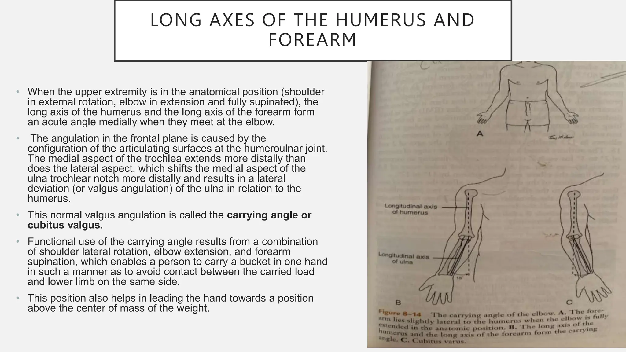 Elbow joint complex biomechanics physiotherapy.pptx