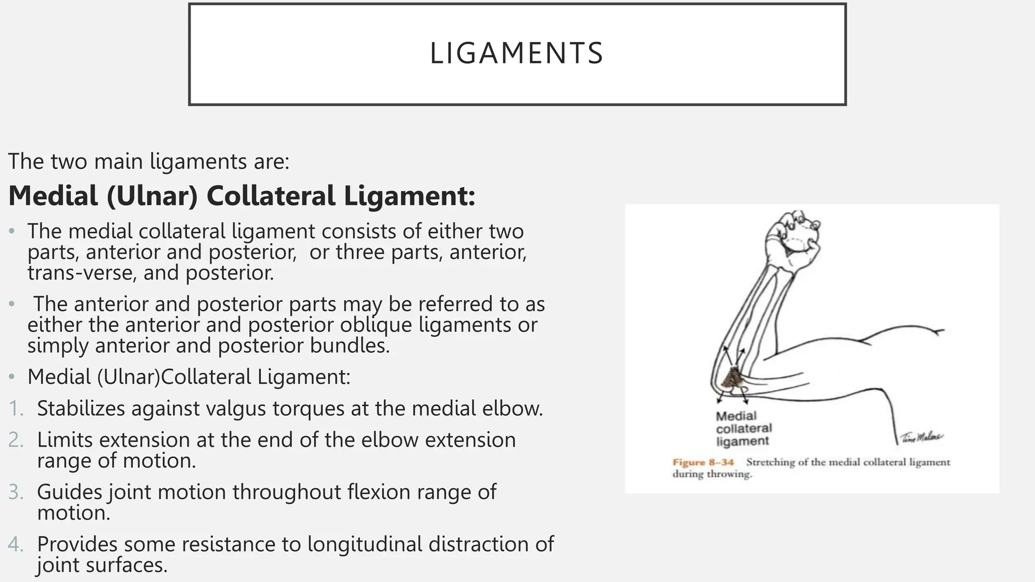 Elbow joint complex biomechanics physiotherapy.pptx