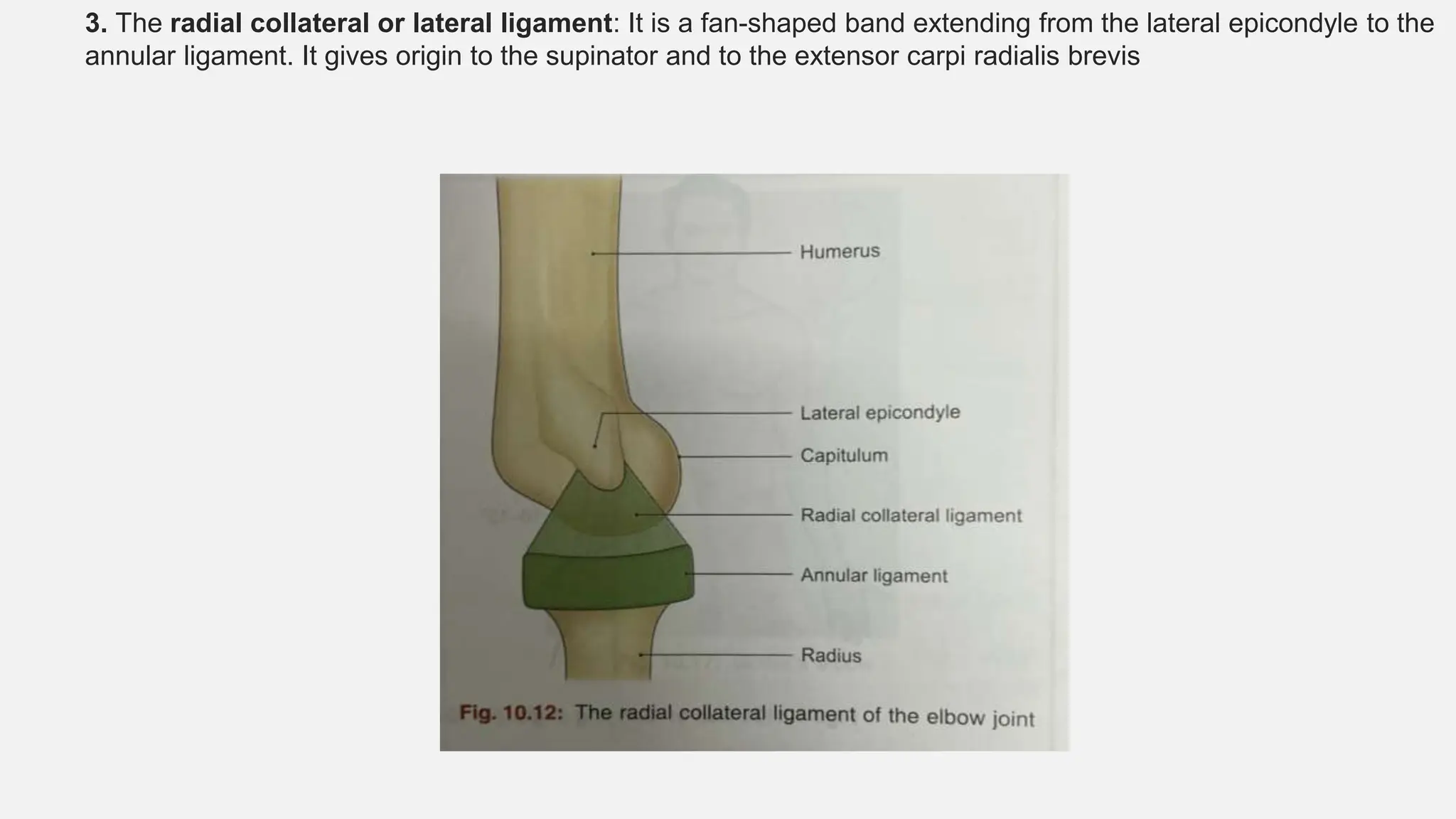 Elbow joint complex biomechanics physiotherapy.pptx