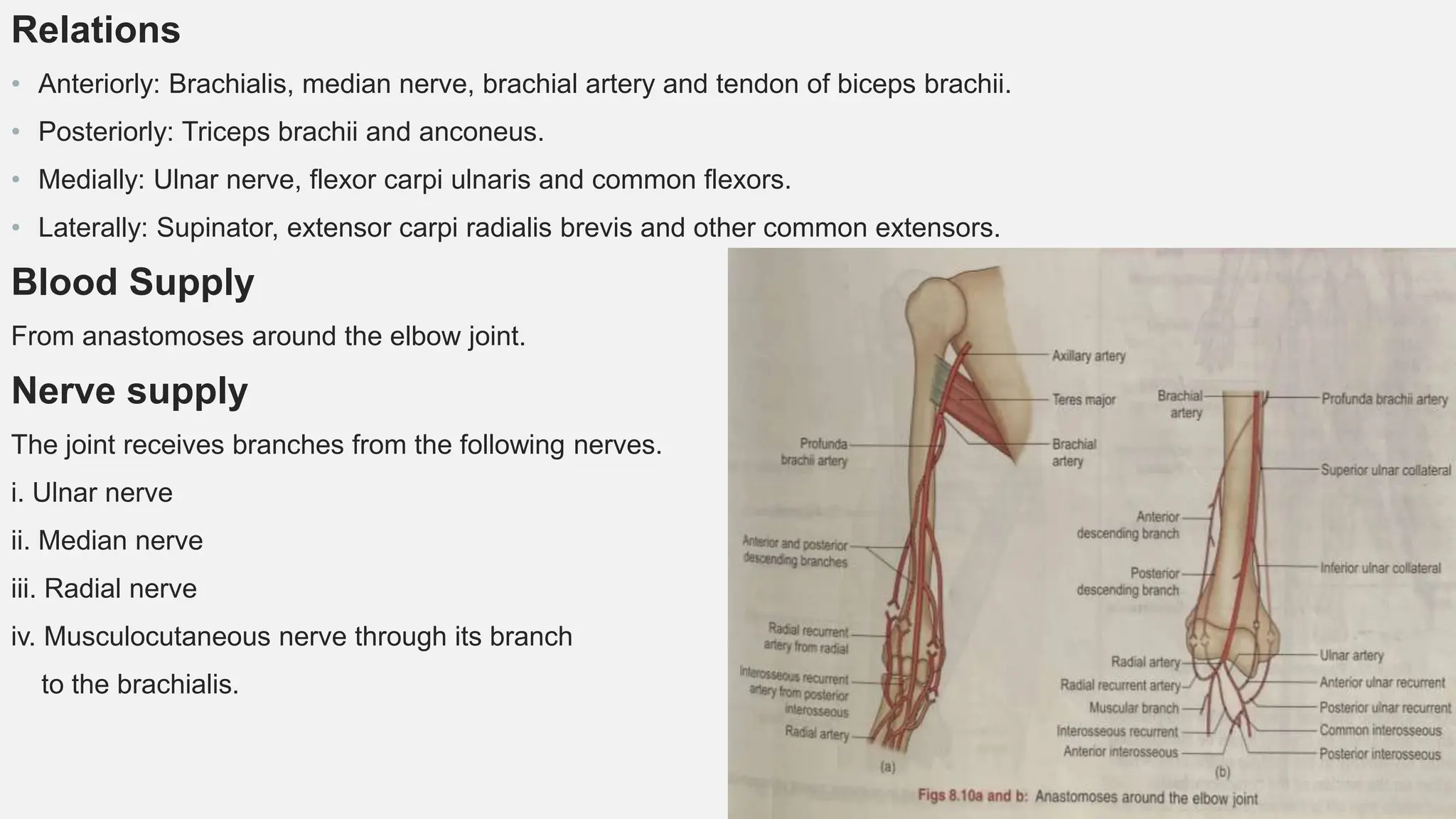 Elbow joint complex biomechanics physiotherapy.pptx